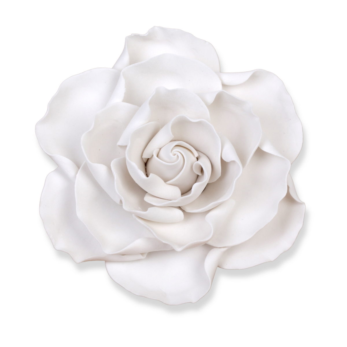 Extra Large Gardenia - White — CaljavaOnline