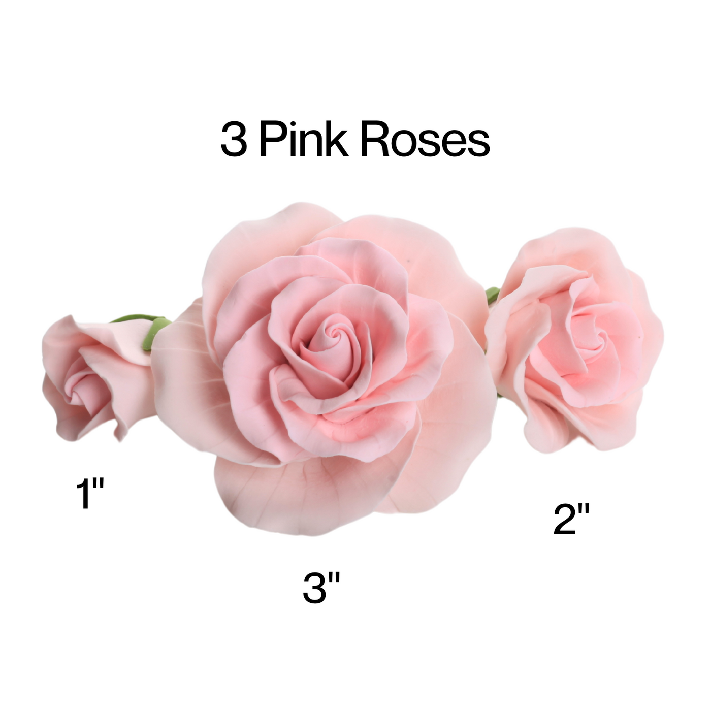 Assorted Size Garden Roses - Pink — CaljavaOnline