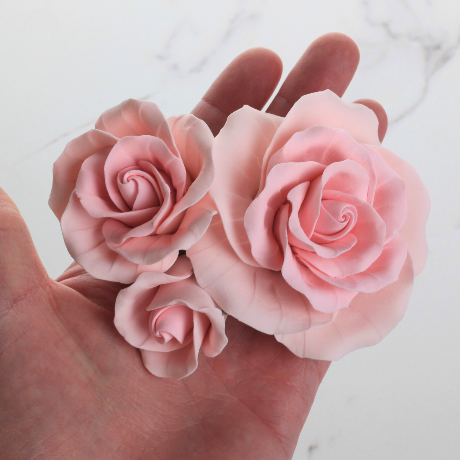 Assorted Size Garden Roses - Pink — CaljavaOnline