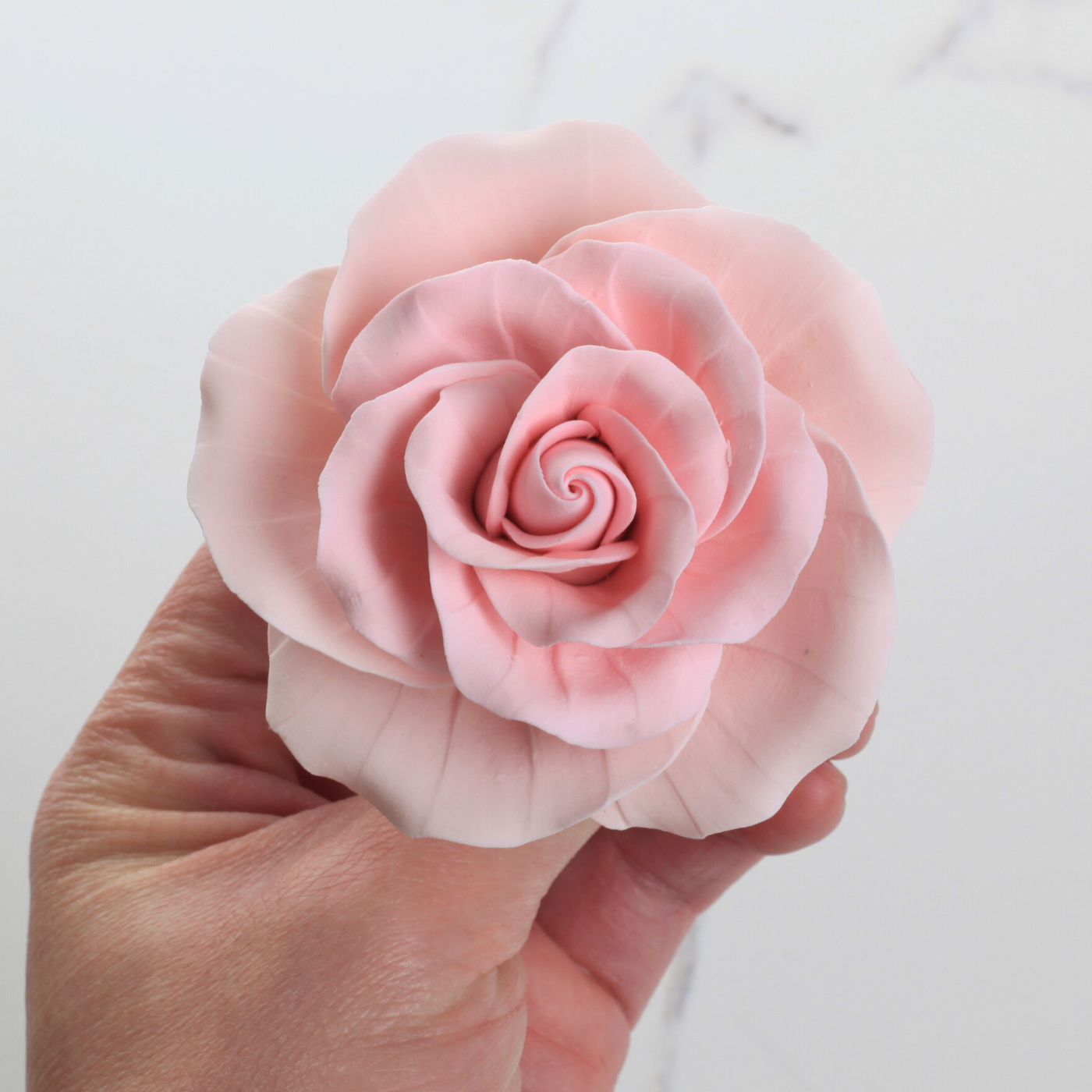 Assorted Size Garden Roses - Pink — CaljavaOnline