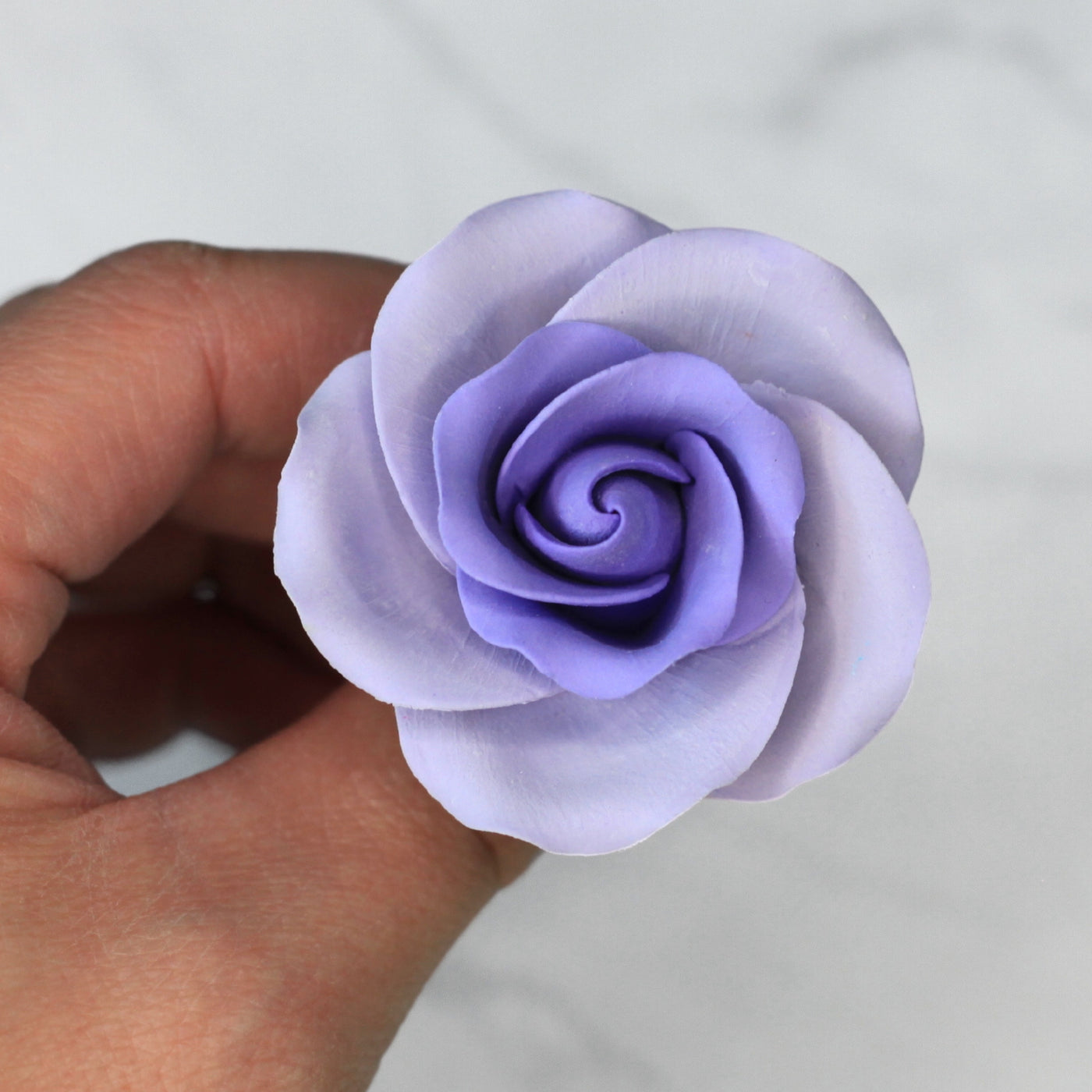 Large Tea Roses - Lavender — CaljavaOnline