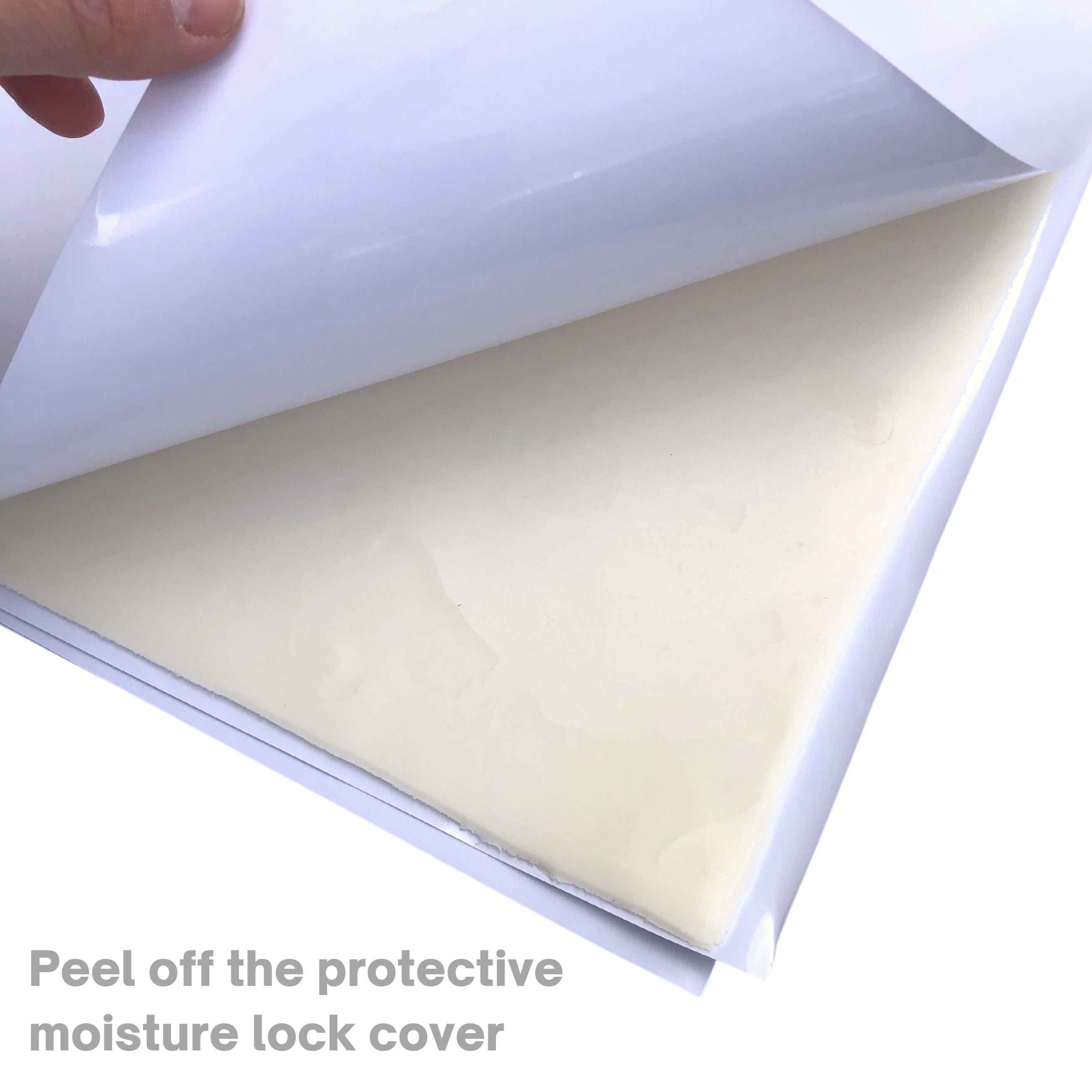 FondX Rolled Fondant Sheets - White — CaljavaOnline