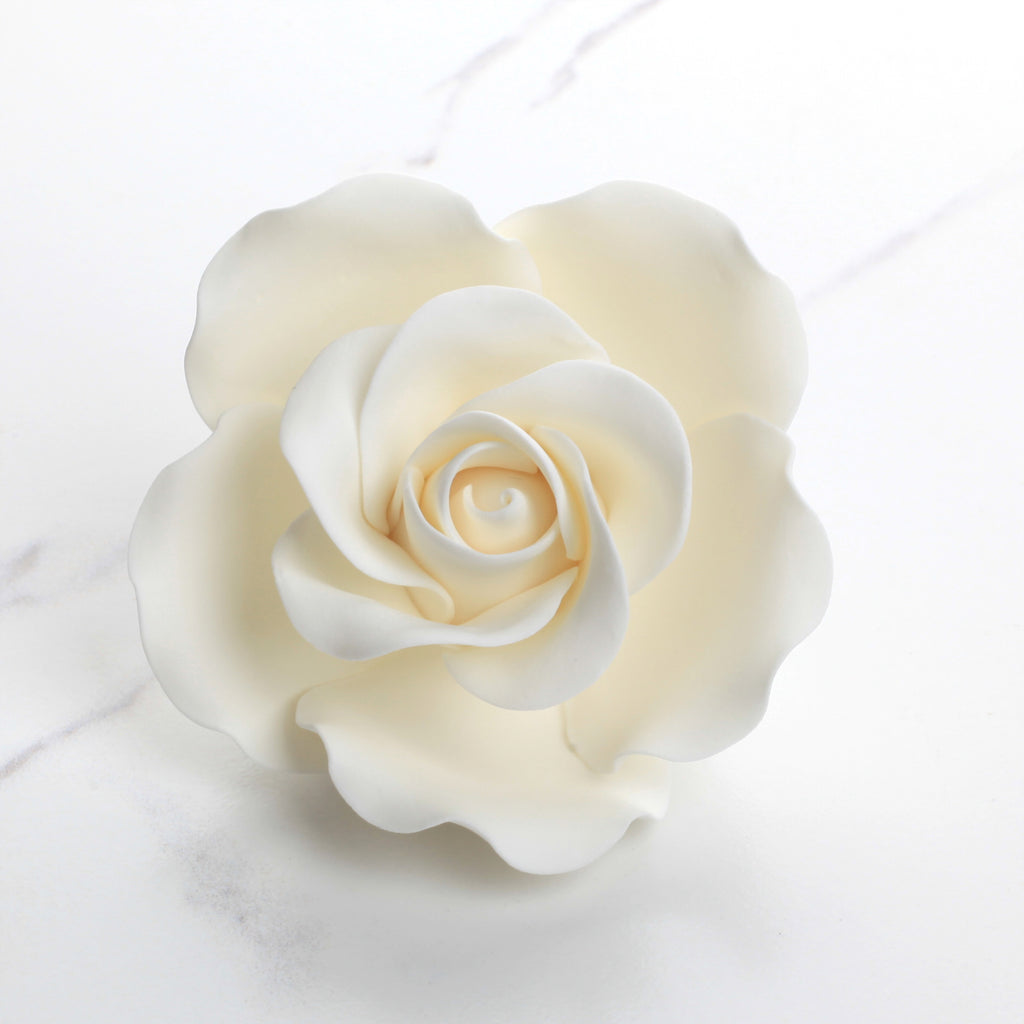 Garden Rose — CaljavaOnline