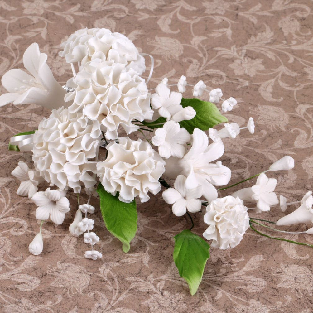 Carnations — CaljavaOnline