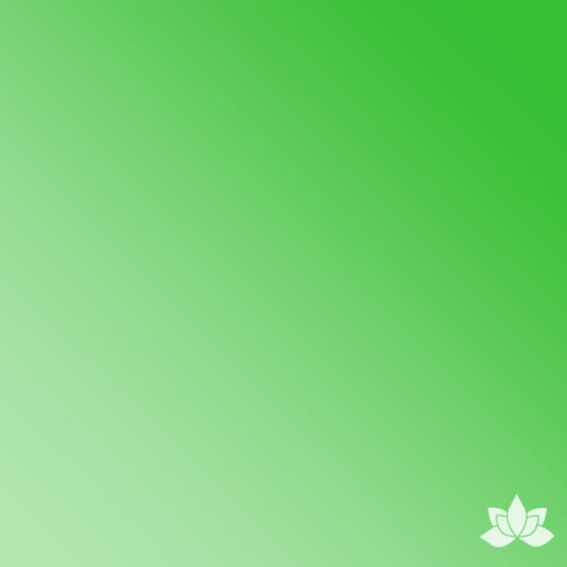 Chefmaster Gel Base Color - Bright Green — CaljavaOnline