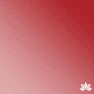 ChefMaster Liqua-Gel Color 10.5 oz - Christmas Red — CaljavaOnline