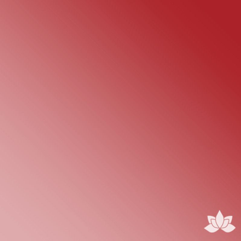 ChefMaster Liqua-Gel Color 10.5 oz - Christmas Red — CaljavaOnline