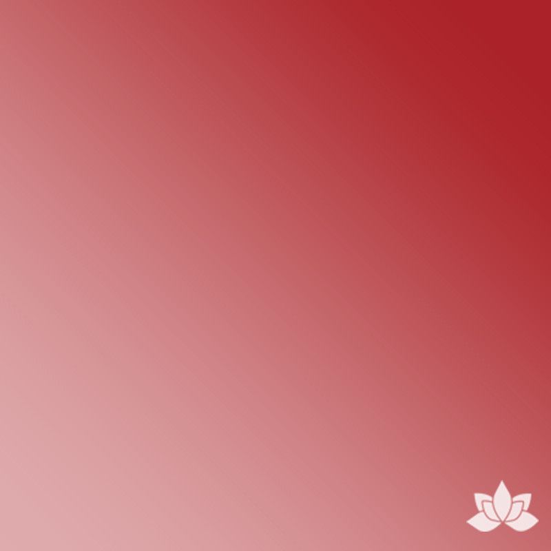 Chefmaster Gel Base Color - Christmas Red — CaljavaOnline