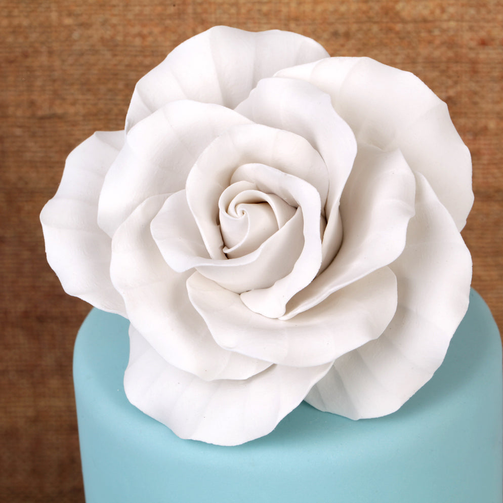 Extra Large Garden Roses - White — CaljavaOnline