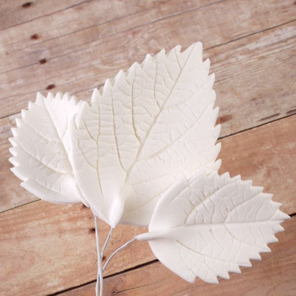 Readymade Gumpaste Leaves — CaljavaOnline