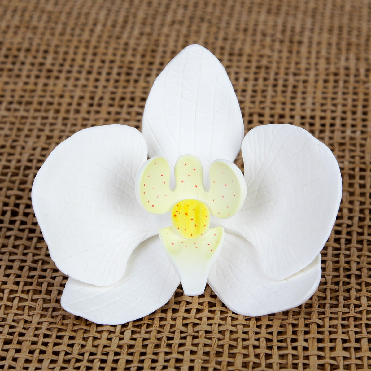 Phalaenopsis Orchids — CaljavaOnline
