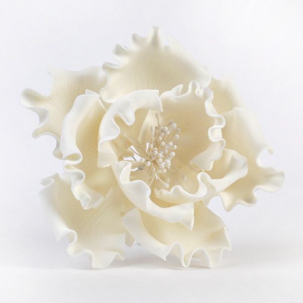 6" Extra Large Peonies - White — CaljavaOnline