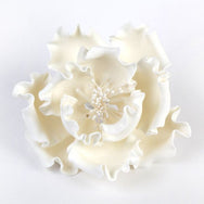 6" Extra Large Peonies - White — CaljavaOnline