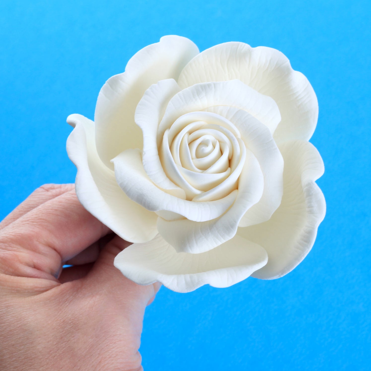 All Sugarflowers — CaljavaOnline