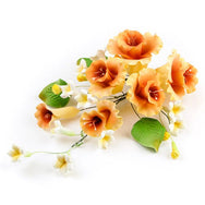 Spray Set 6A — CaljavaOnline