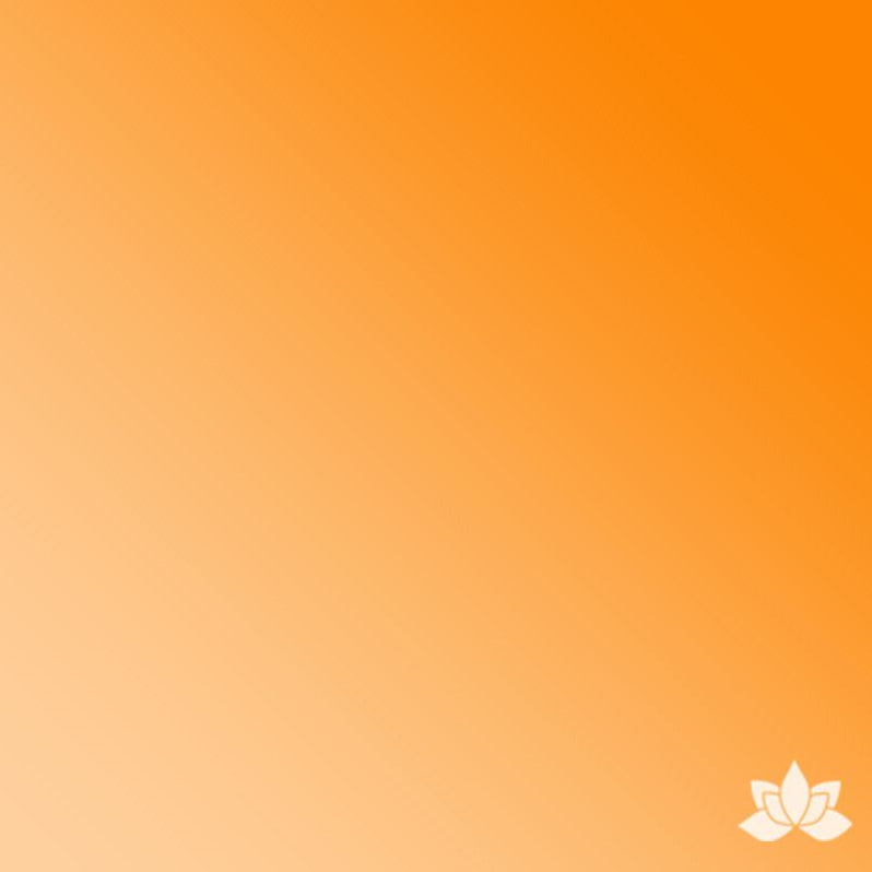 Chefmaster Gel Base Color - Sunset Orange — CaljavaOnline