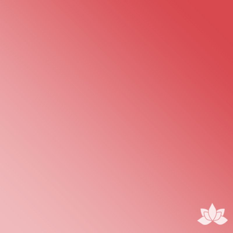 Chefmaster Gel Base Color - Tulip Red (No Taste) — CaljavaOnline