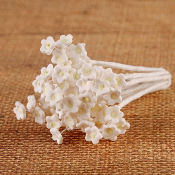 Blossoms — CaljavaOnline