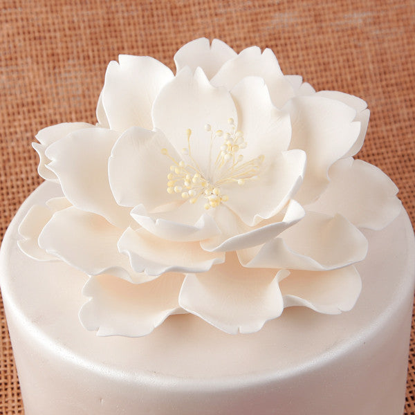 7" Extra Large Open Peony - White — CaljavaOnline