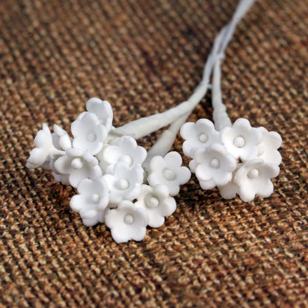 Blossoms — CaljavaOnline